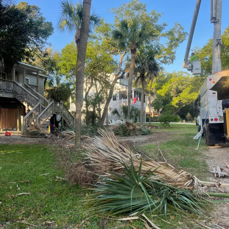 Tree Debris Removal Walterboro, SC | Free Estimates | RJ's Tree Service